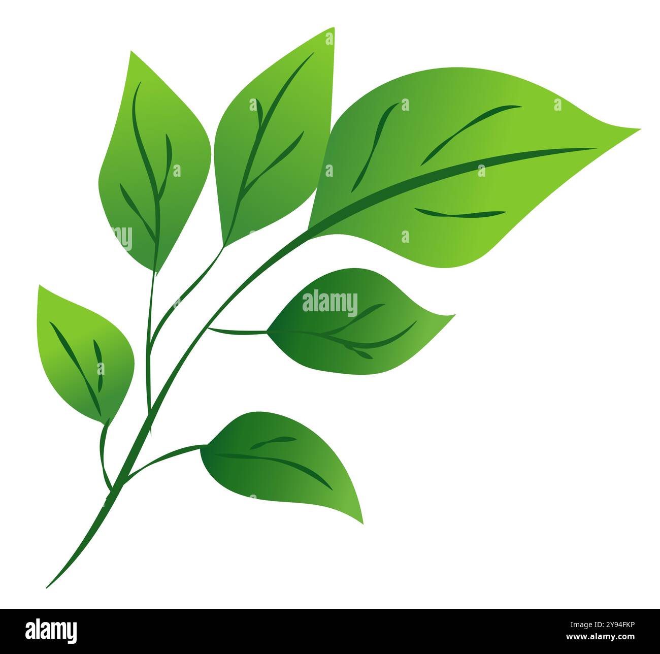 features a green leaf branch with various leaf shapes, showcasing a ...