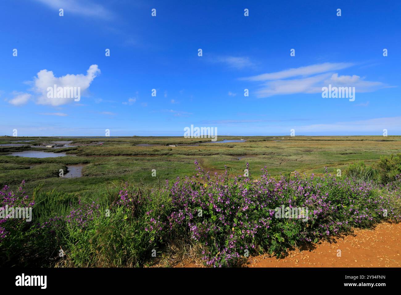 View over the Mow Creek and salt marshes, Brancaster Staithe village ...