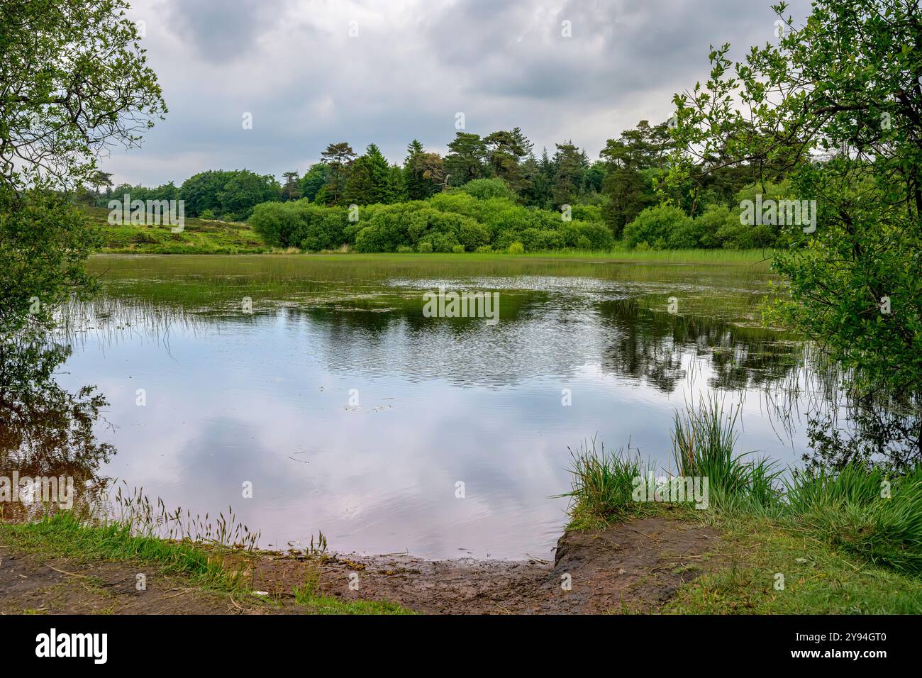 Priddy pools hi-res stock photography and images - Alamy
