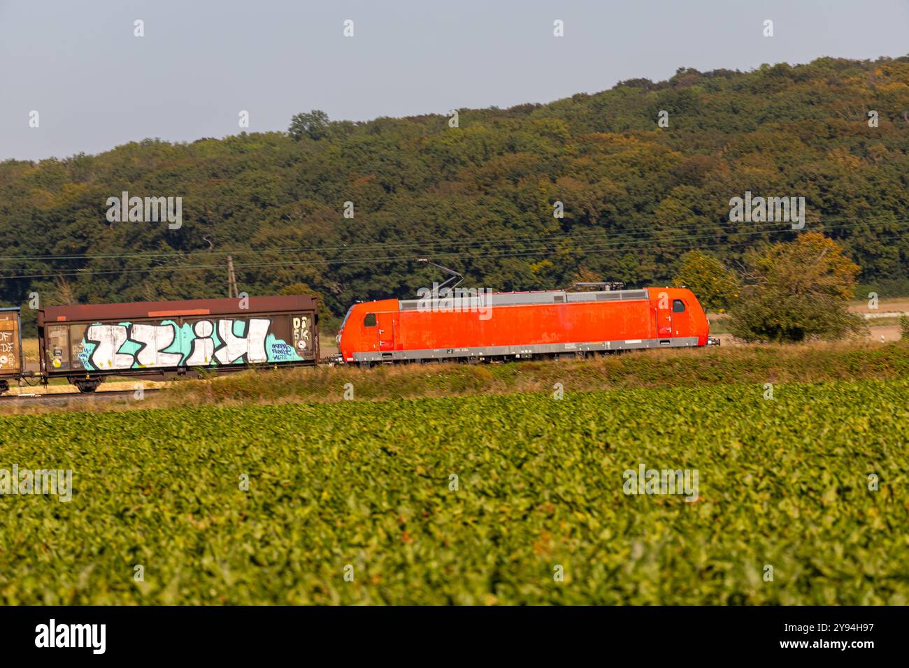 Red electric locomotive with freight car driving across a field ...