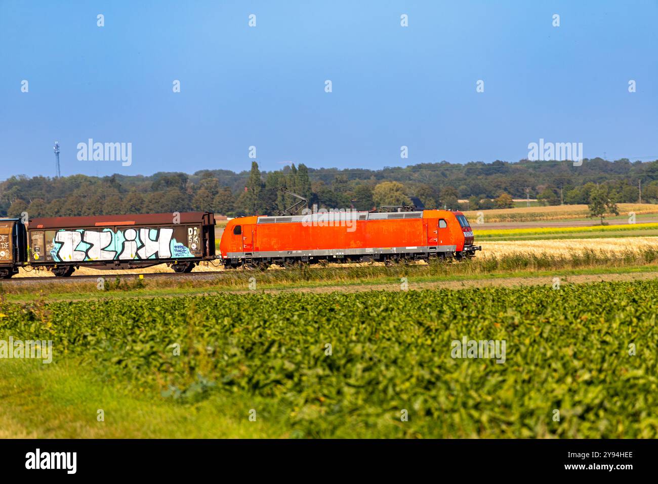 Red electric locomotive with freight car driving across a field ...