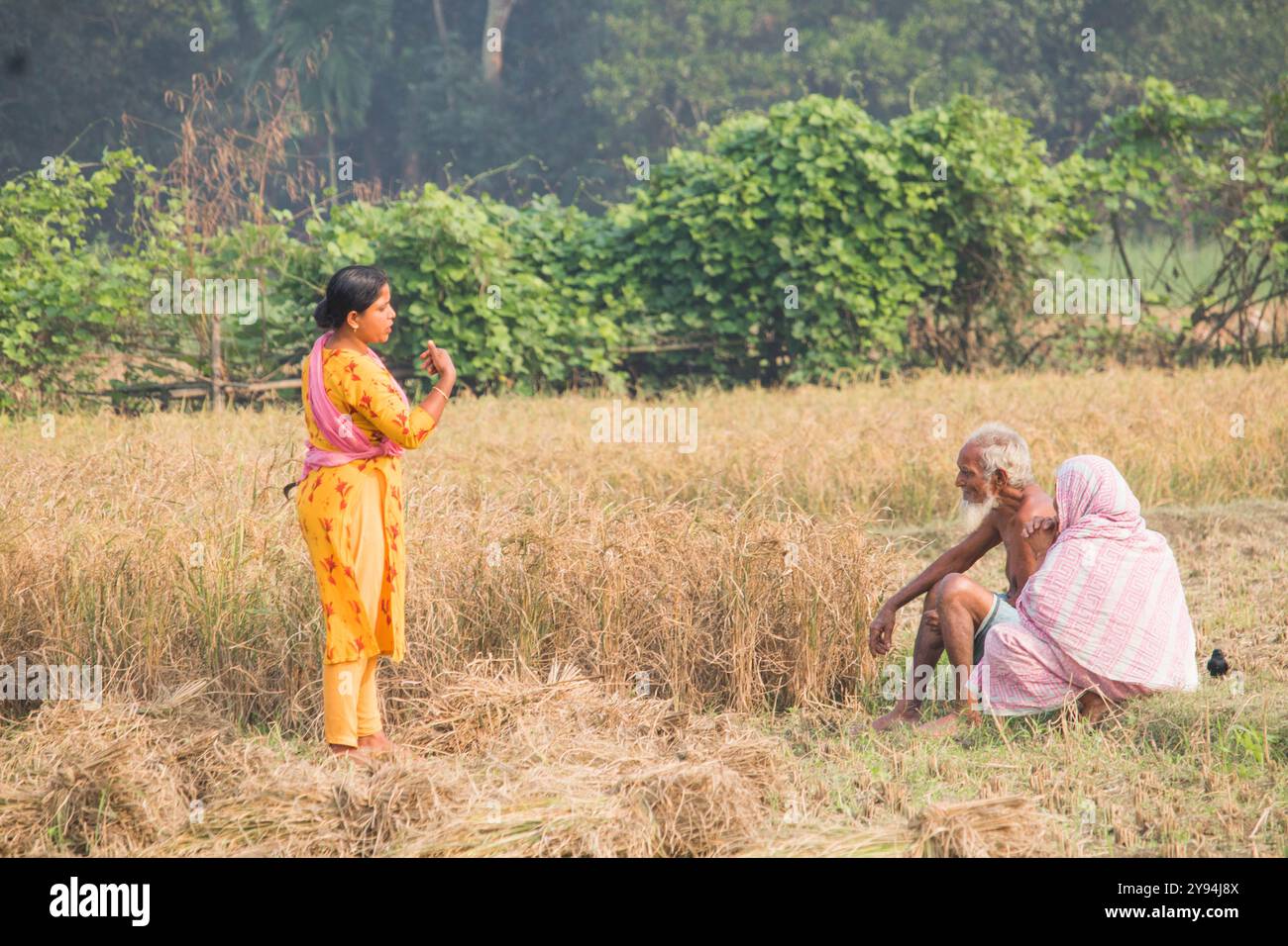 Women working on paddy field hi-res stock photography and images - Alamy
