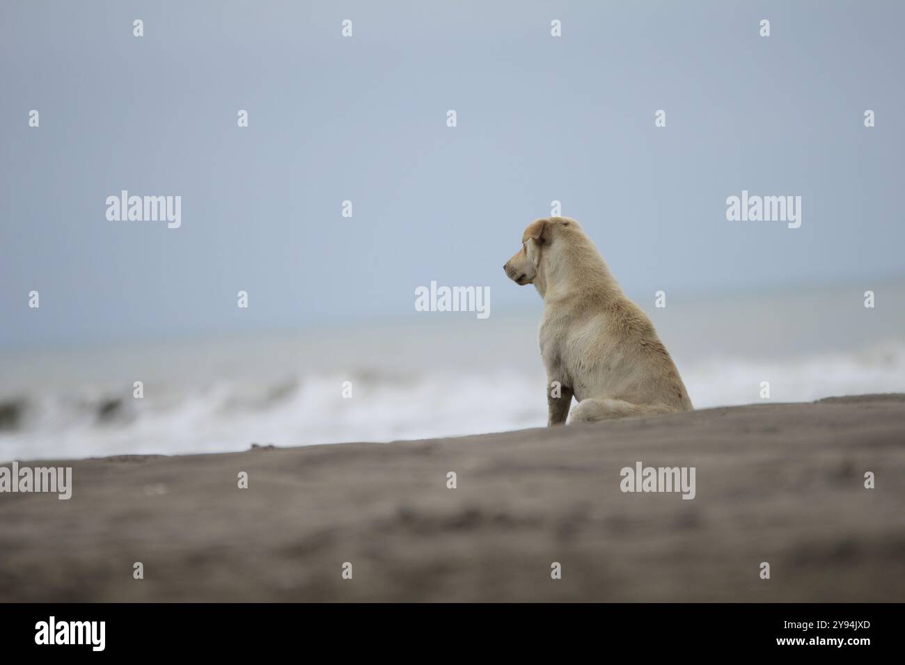 Serene empty beach gentle waves hi-res stock photography and images - Alamy