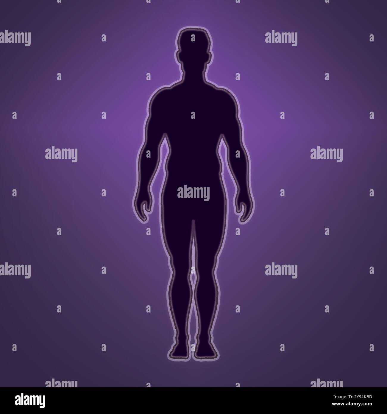 Human Body Shape Illustration In Dark Purple Shadow For Anatomy Template And Fitness Training