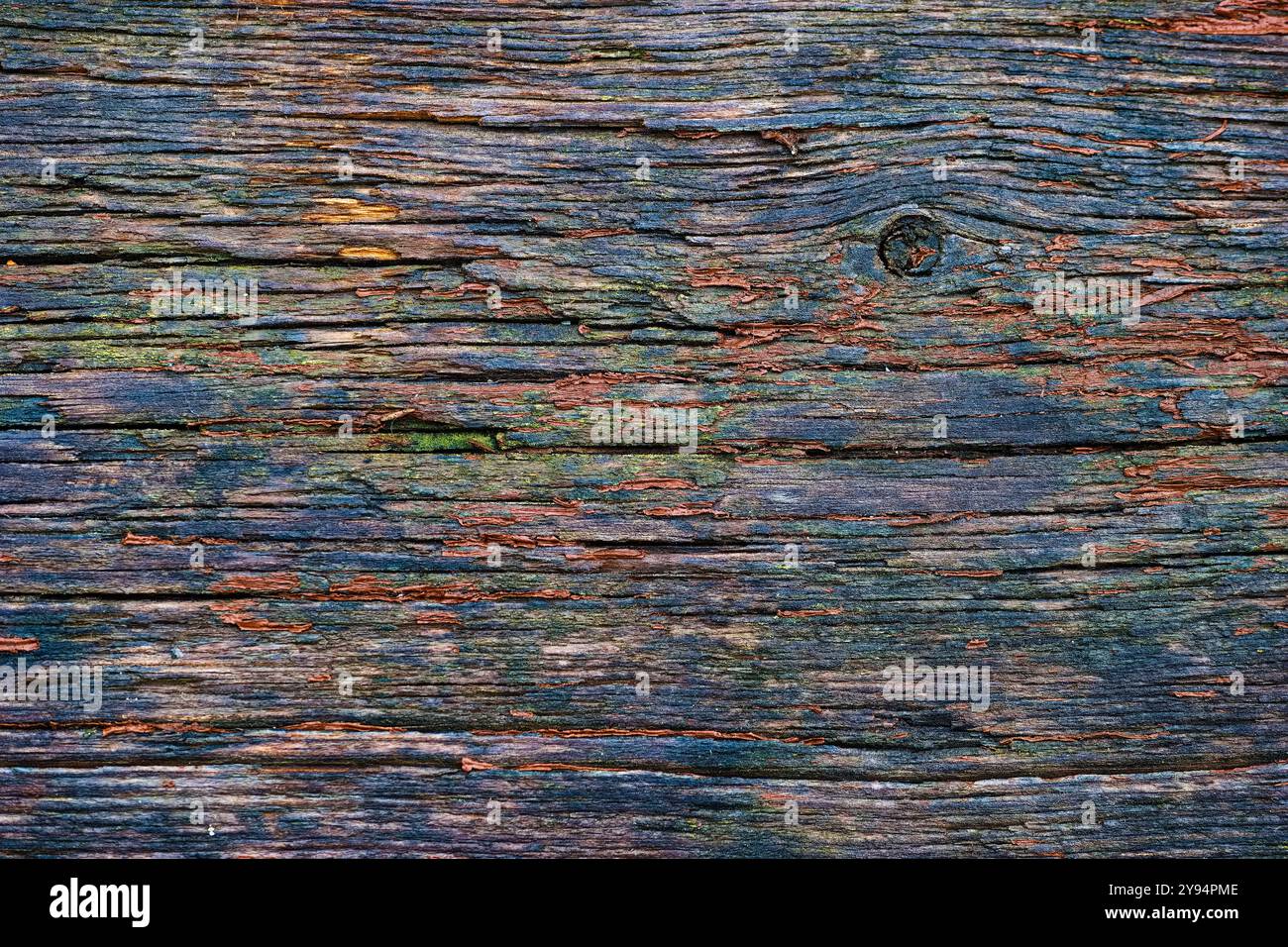 old wood structure as a background with beautiful patterns of nature ...