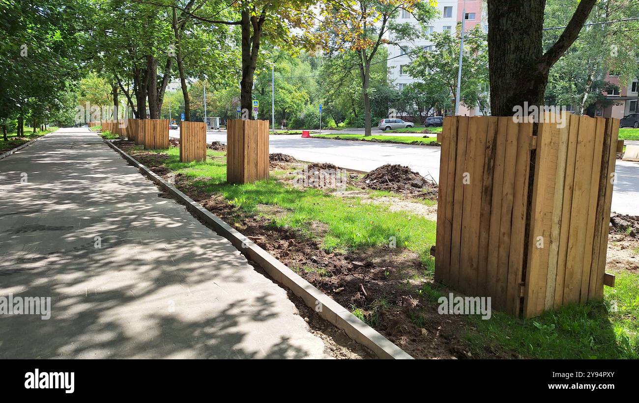 Urban greenery: trees in wooden fencing along a sunny sidewalk Stock ...