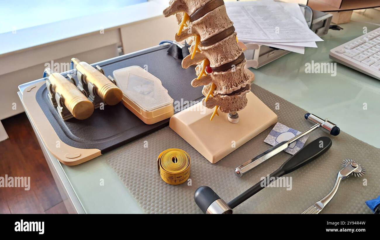 Spinal anatomy model and medical tools on a doctor's desk Stock Photo ...