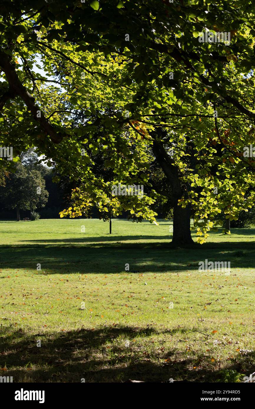 Gosford Green, Coventry, West Midlands, England, UK Stock Photo - Alamy
