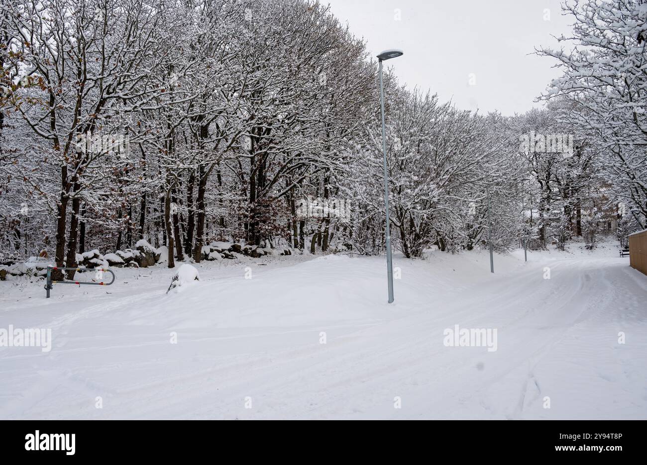 A serene winter scene features a snow-covered pathway winding through ...