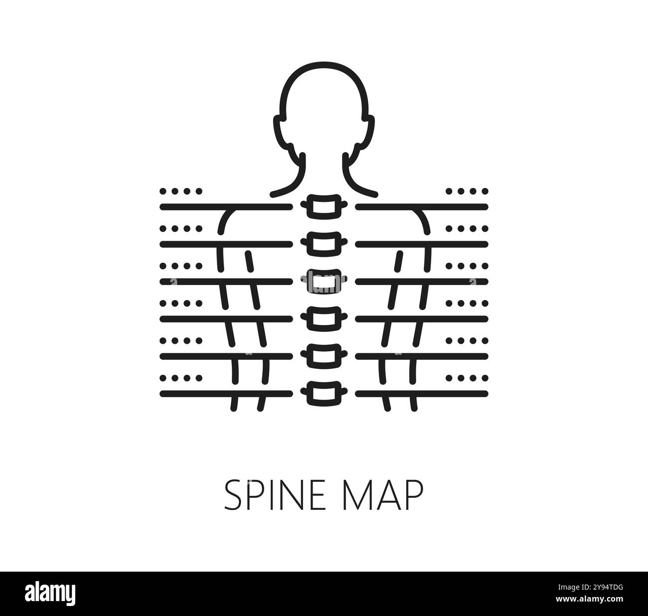Chiropractic medicine line icon of detailed spine map. Vector human ...