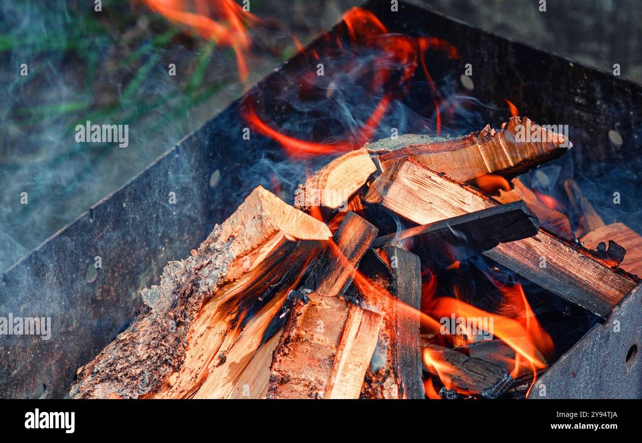 Firewood is burning in the barbecue. Lighting a fire for cooking ...