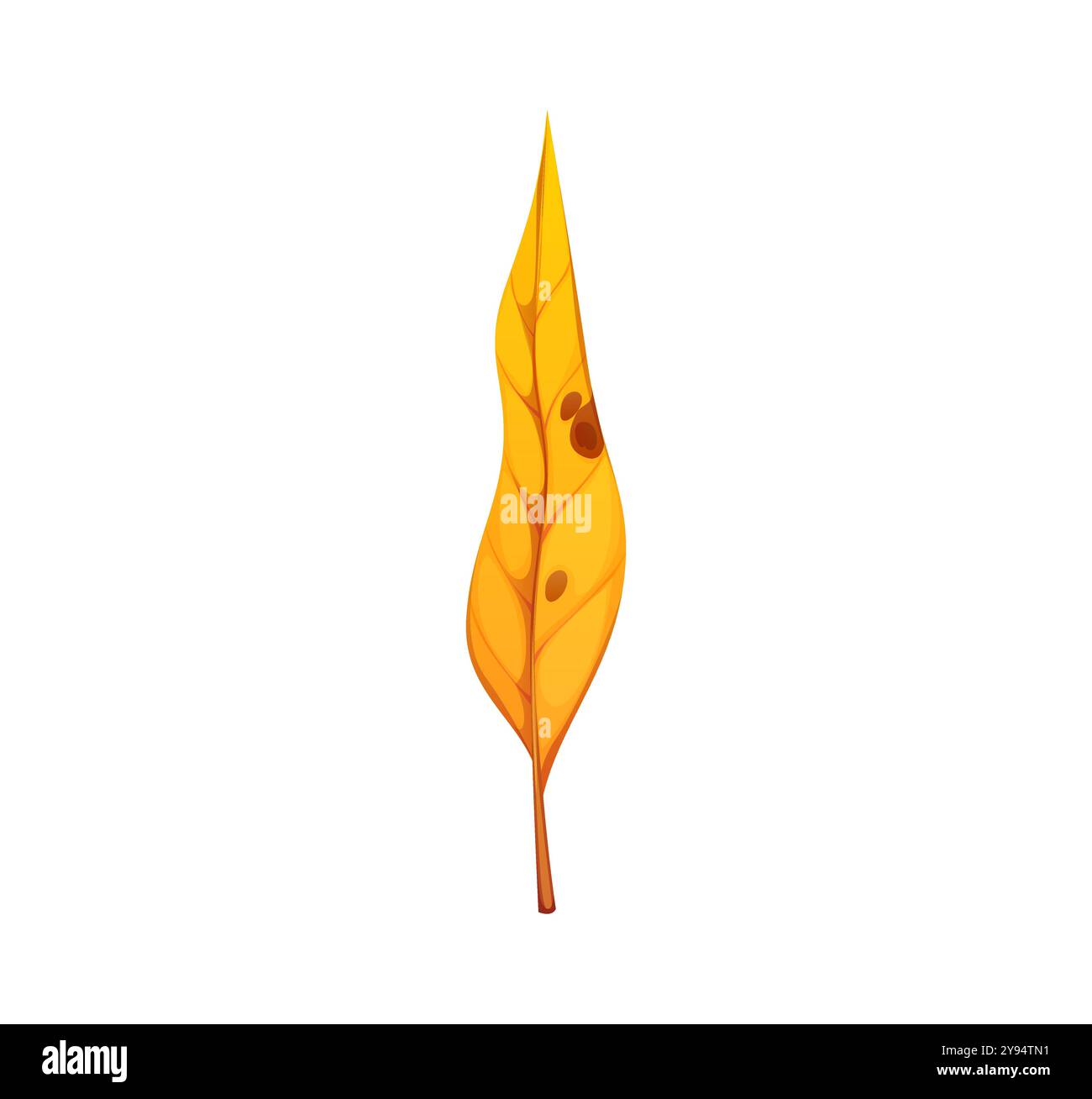 Cartoon yellow autumn leaf with brown spots, featuring a slender shape ...