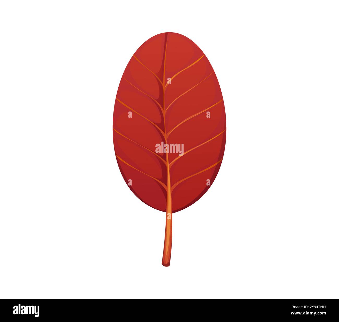 Beauty in vegetation foliage Cut Out Stock Images & Pictures - Alamy