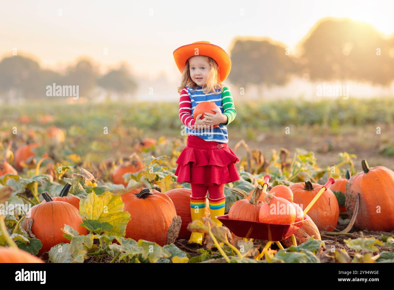 Little girl and boy picking pumpkins on Halloween pumpkin patch ...
