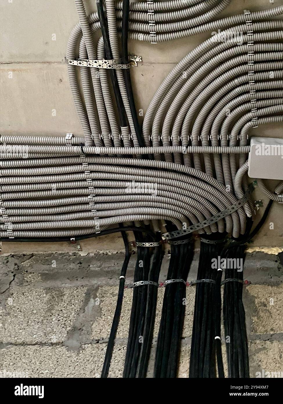 Professional installation of electrical sockets, wires and switches ...