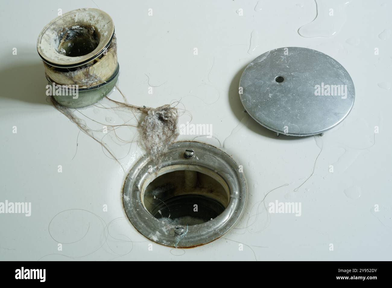 Hair and soap from a shower drain. A disgusting mix of hair and soap ...