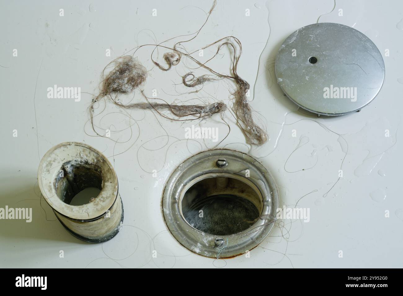 Hair and soap from a shower drain. A disgusting mix of hair and soap ...