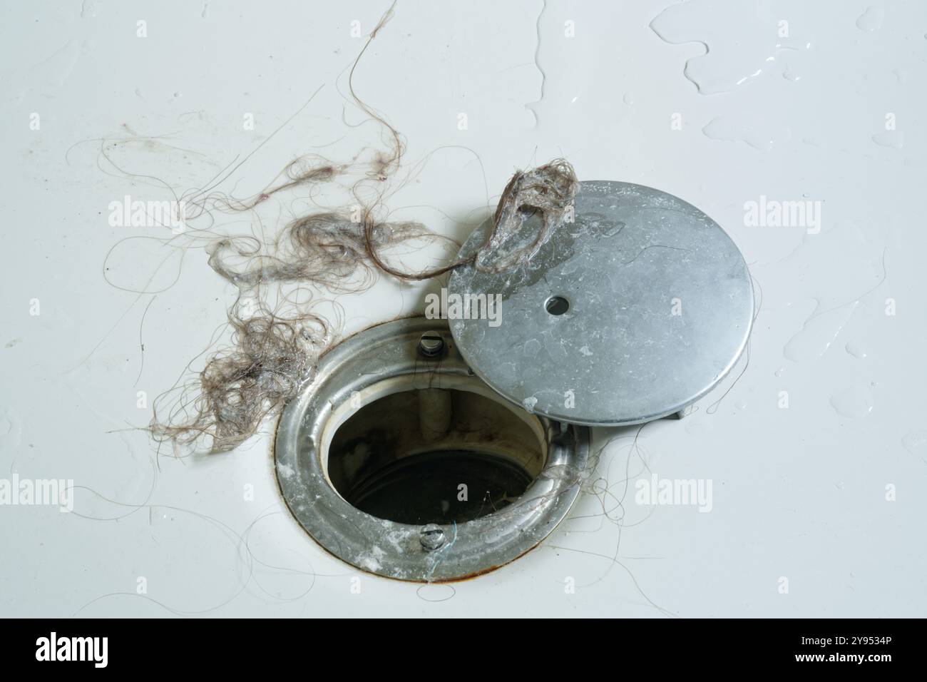Hair and soap from a shower drain. A disgusting mix of hair and soap ...
