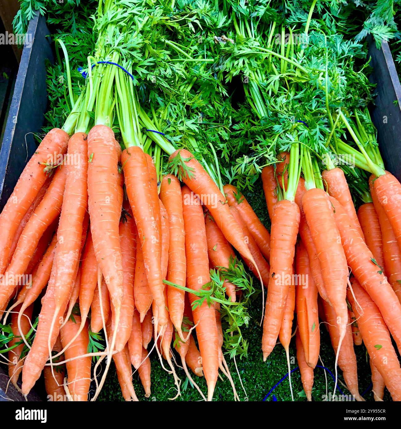 Healthy organic farm grown hi-res stock photography and images - Alamy