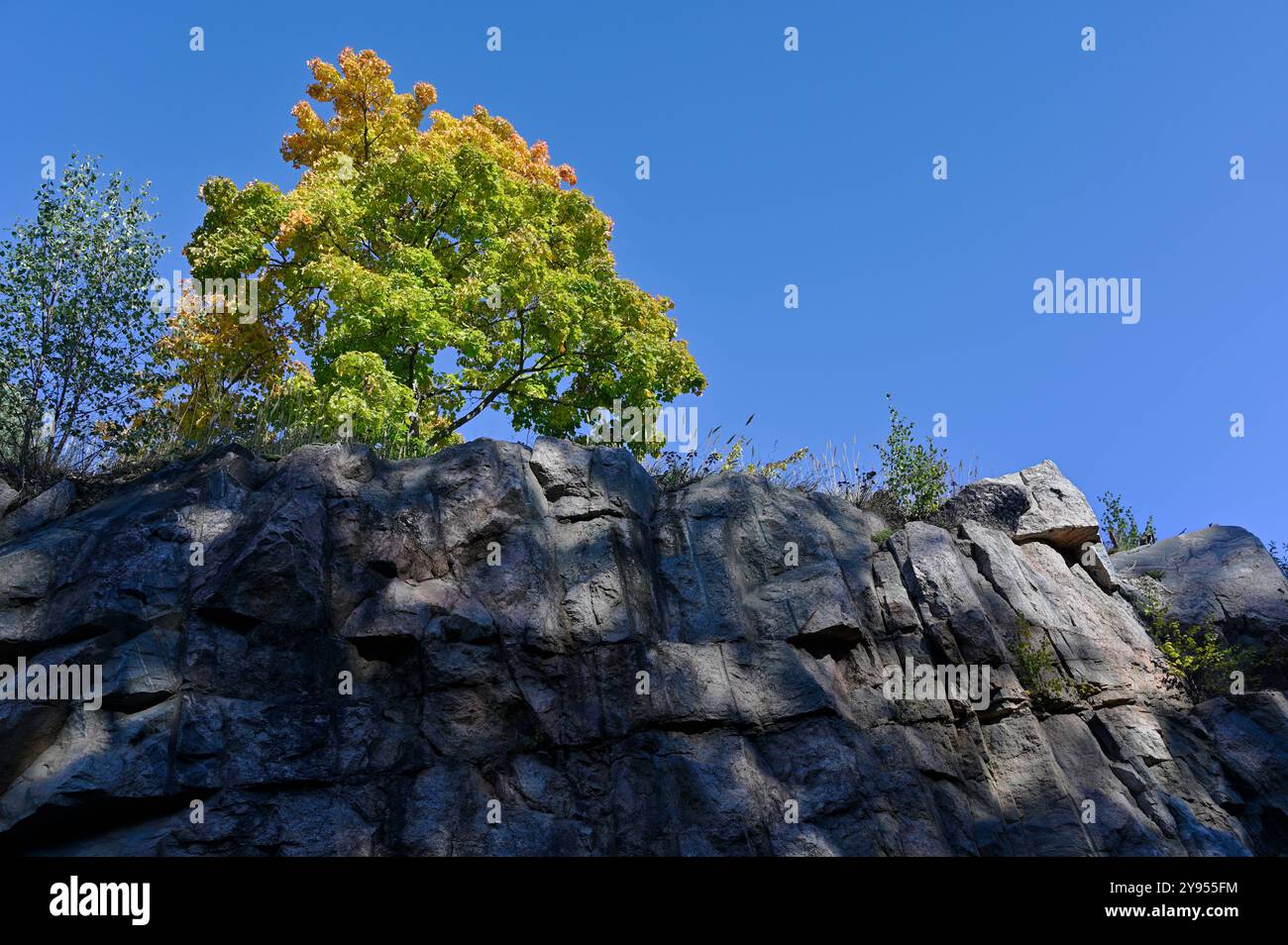 This photo captures a striking natural scene with a bright green and ...
