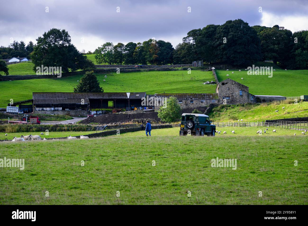 Land Rover parked & farmer working to check animals in fields ...