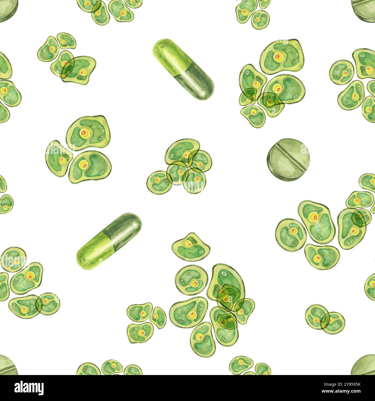 A seamless pattern of green Chlorella algae cells with green capsules ...