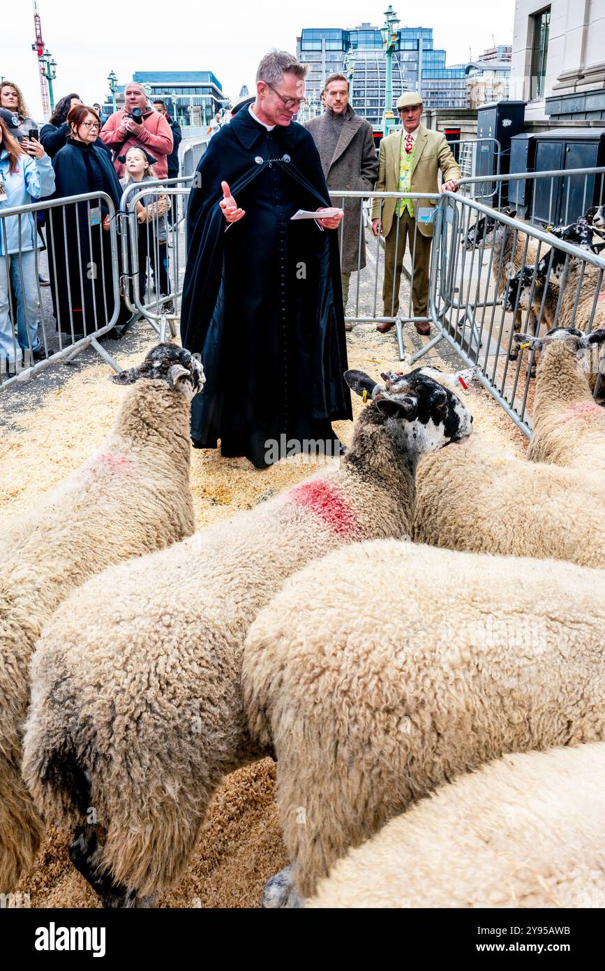 A Church Official Blesses The Sheep During 'The Blessing of The Sheep ...
