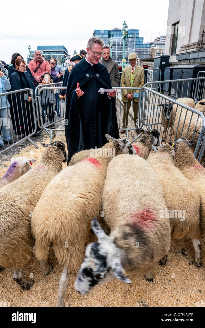 A Church Official Blesses The Sheep During 'The Blessing of The Sheep ...
