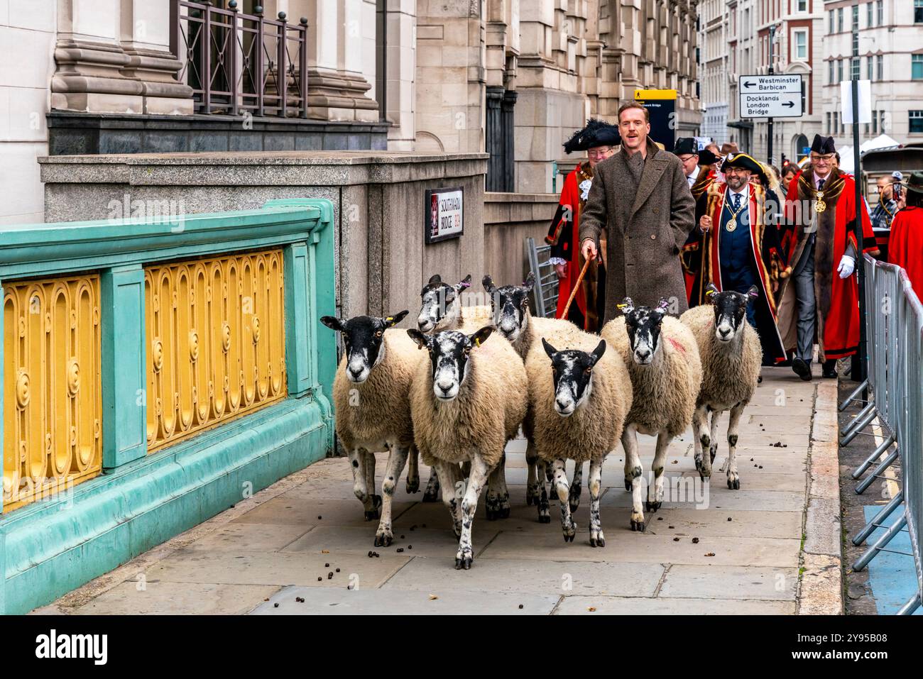 Hollywood Actor Damian Lewis Leads The Annual Sheep Drive Across ...