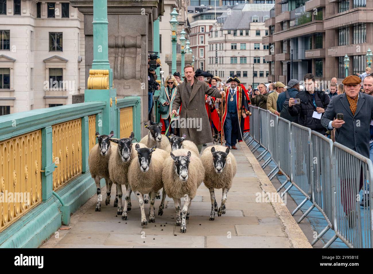 Hollywood Actor Damian Lewis Leads The Annual Sheep Drive Across ...