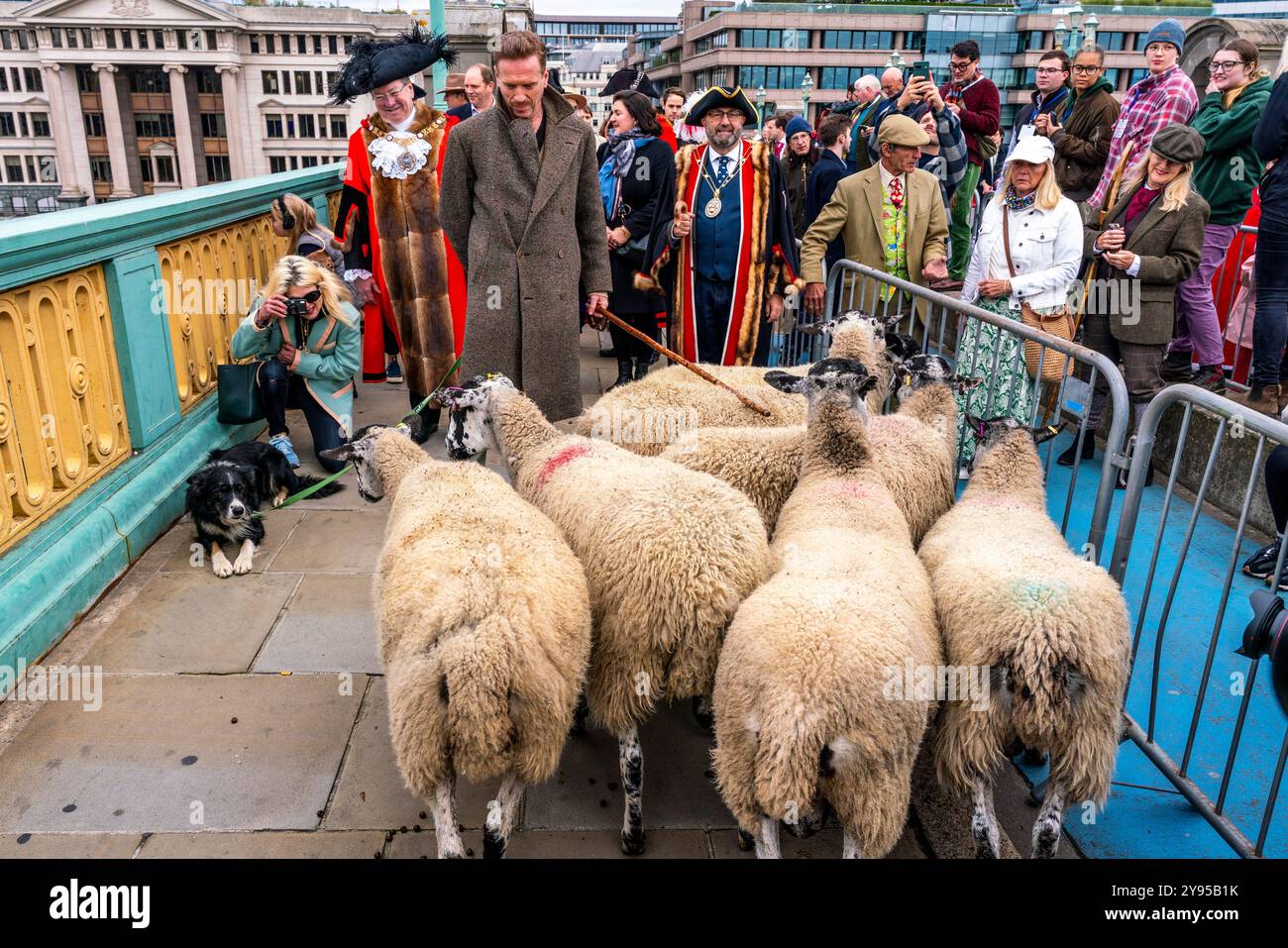 Hollywood Actor Damian Lewis Leads The Annual Sheep Drive Across ...