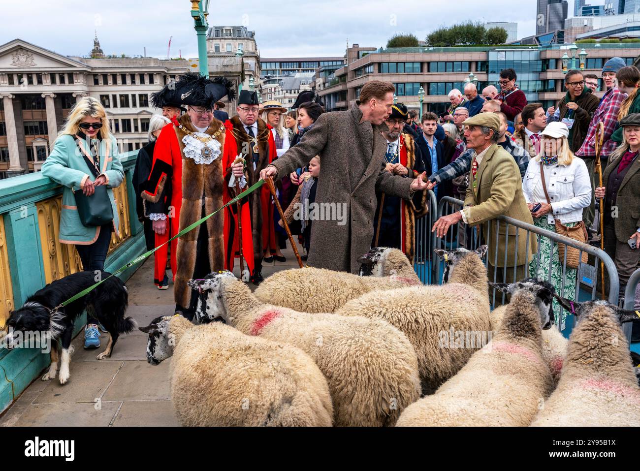 Hollywood Actor Damian Lewis Leads The Annual Sheep Drive Across ...