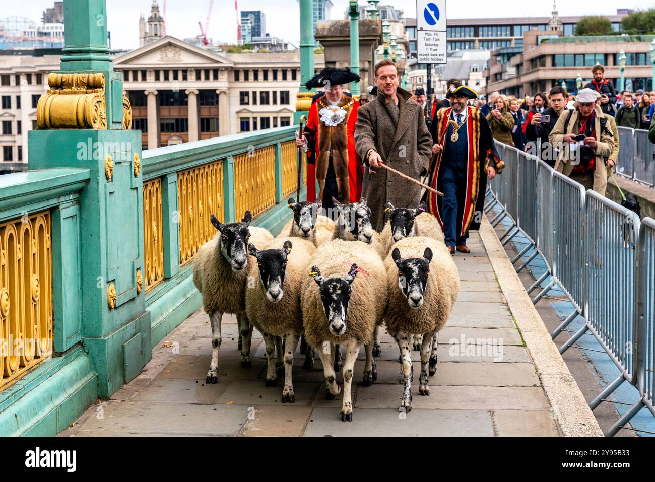 Hollywood Actor Damian Lewis Leads The Annual Sheep Drive Across ...