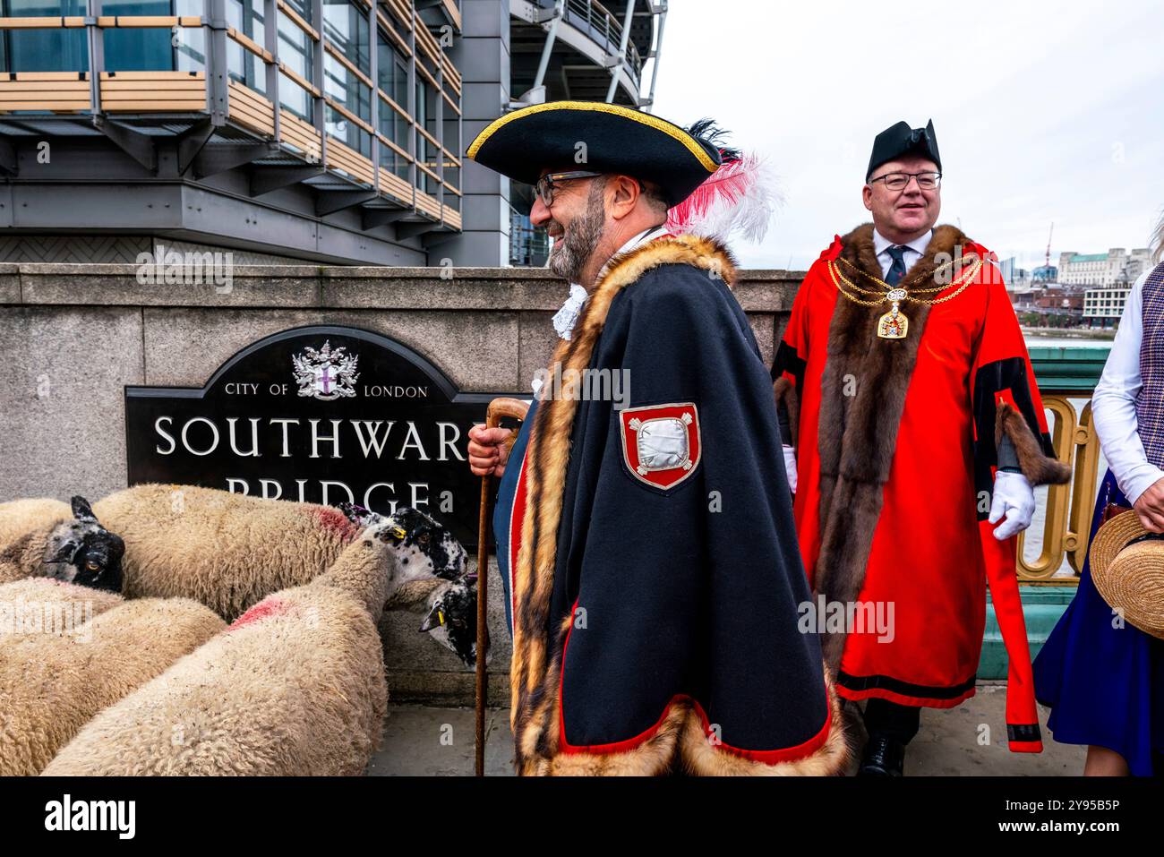 Master Woolman Many Cohen and Various Dignitaries Herding Sheep On ...