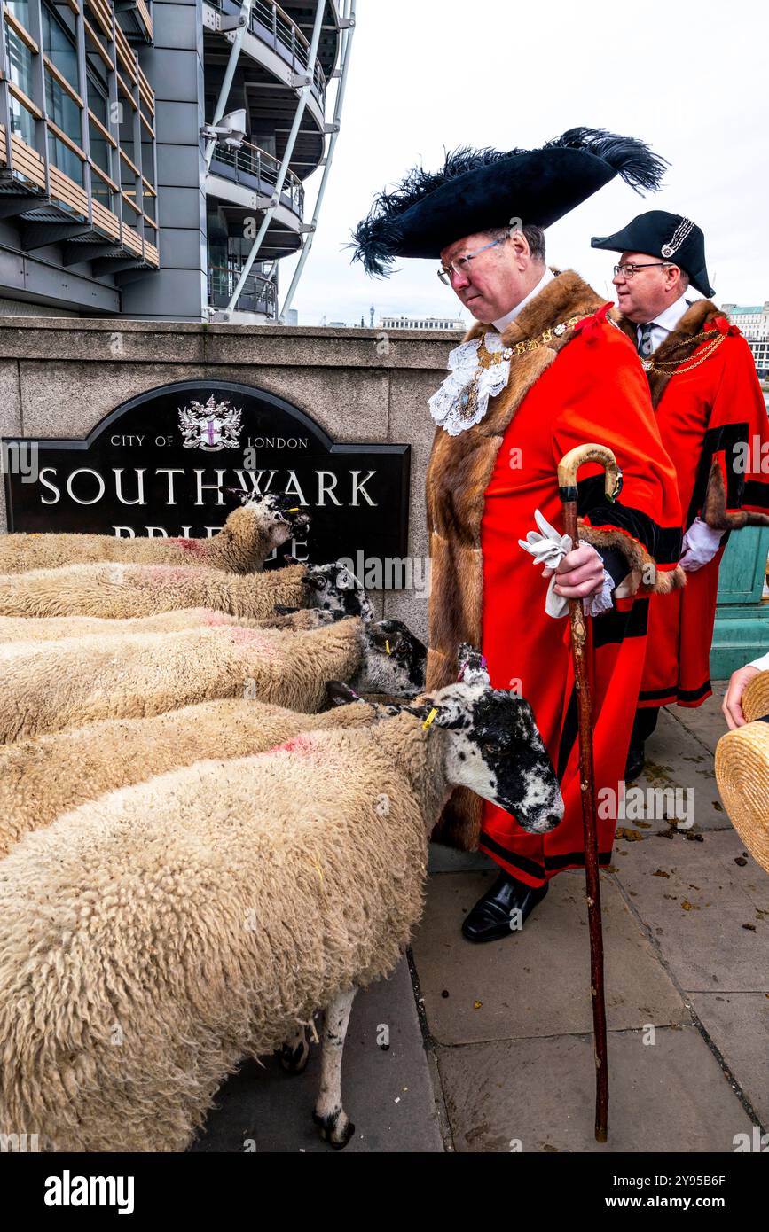 The Lord Mayor of London Michael Mainelli and Dignitaries Herding Sheep ...