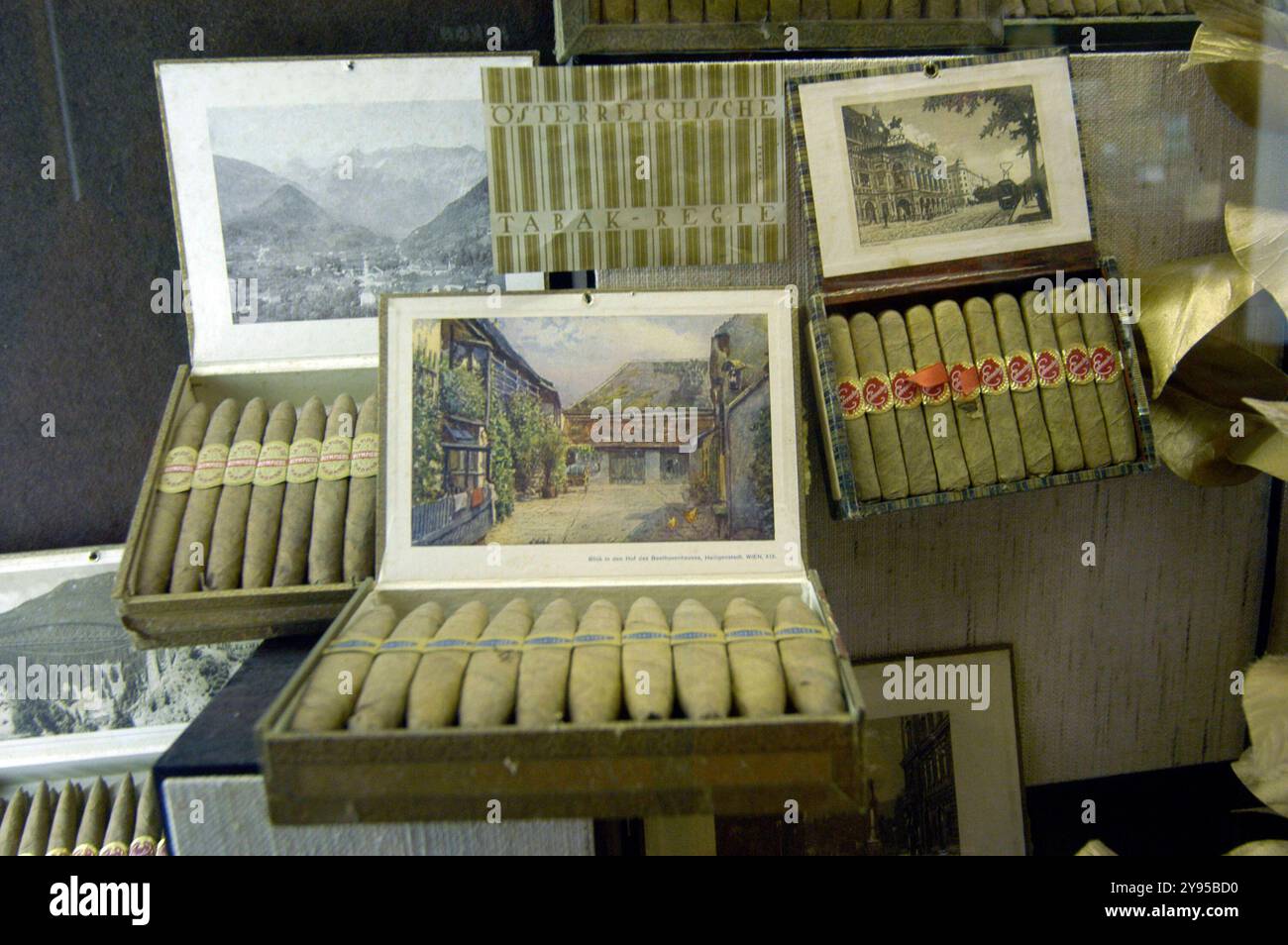 the smoking of cigars, cause of drug and nicotine addiction smoking of ...