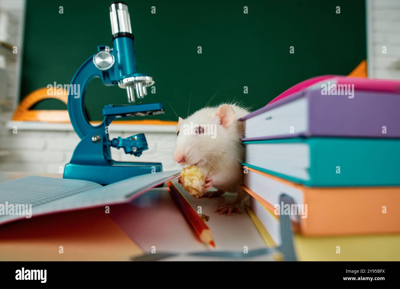 Design for book library, learning, education. Concept for university ...