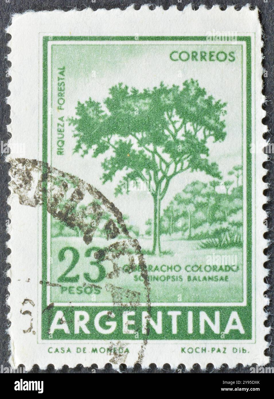 Cancelled postage stamp printed by Argentina, that shows Red Quebracho ...