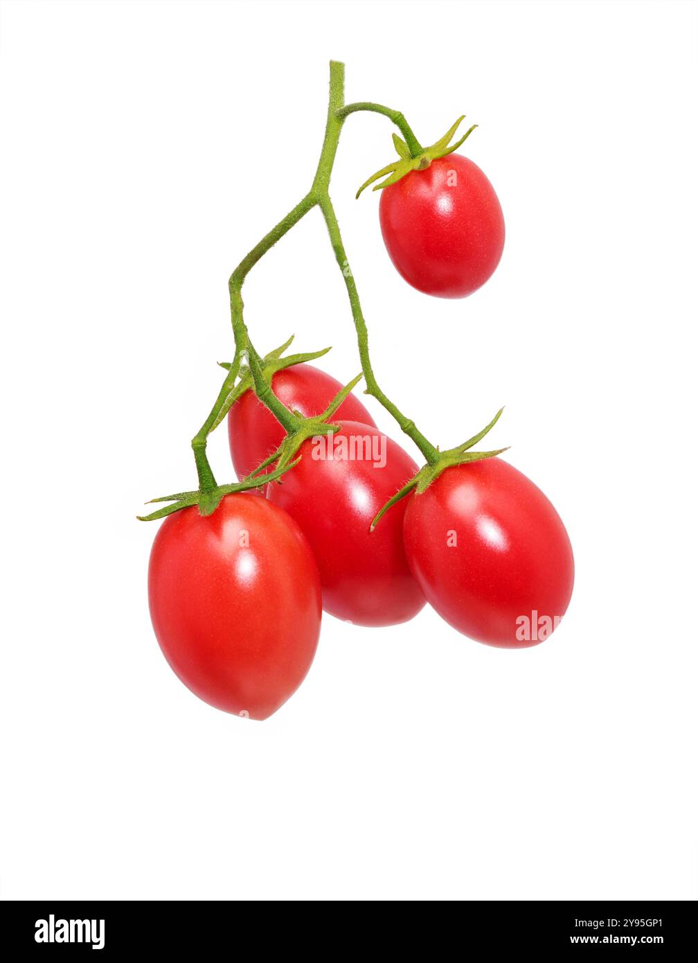 Composition tomato leaves Cut Out Stock Images & Pictures - Alamy