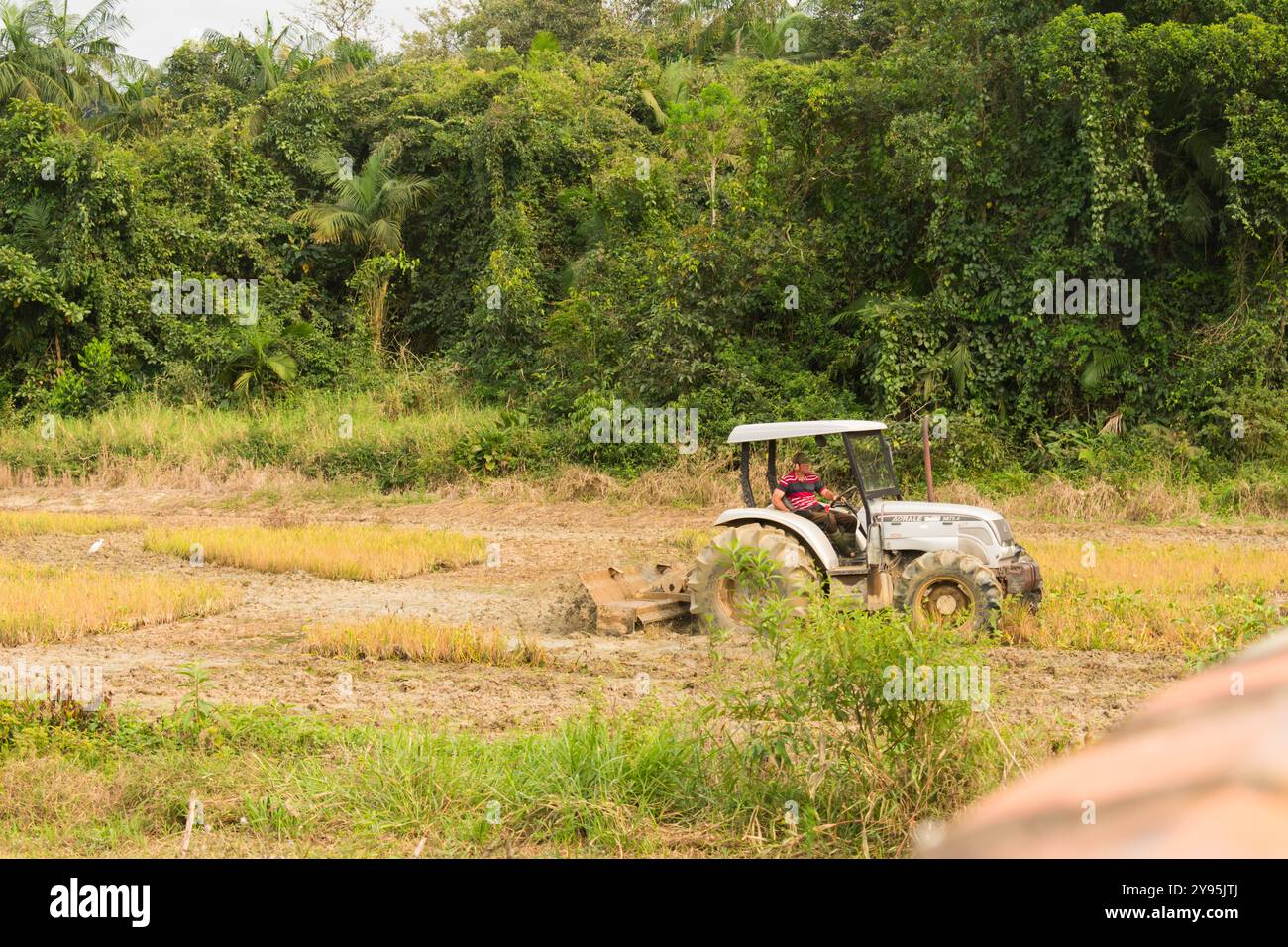 Schroeder, Brazil - September 10th 2024: Man in a tractor working on ...