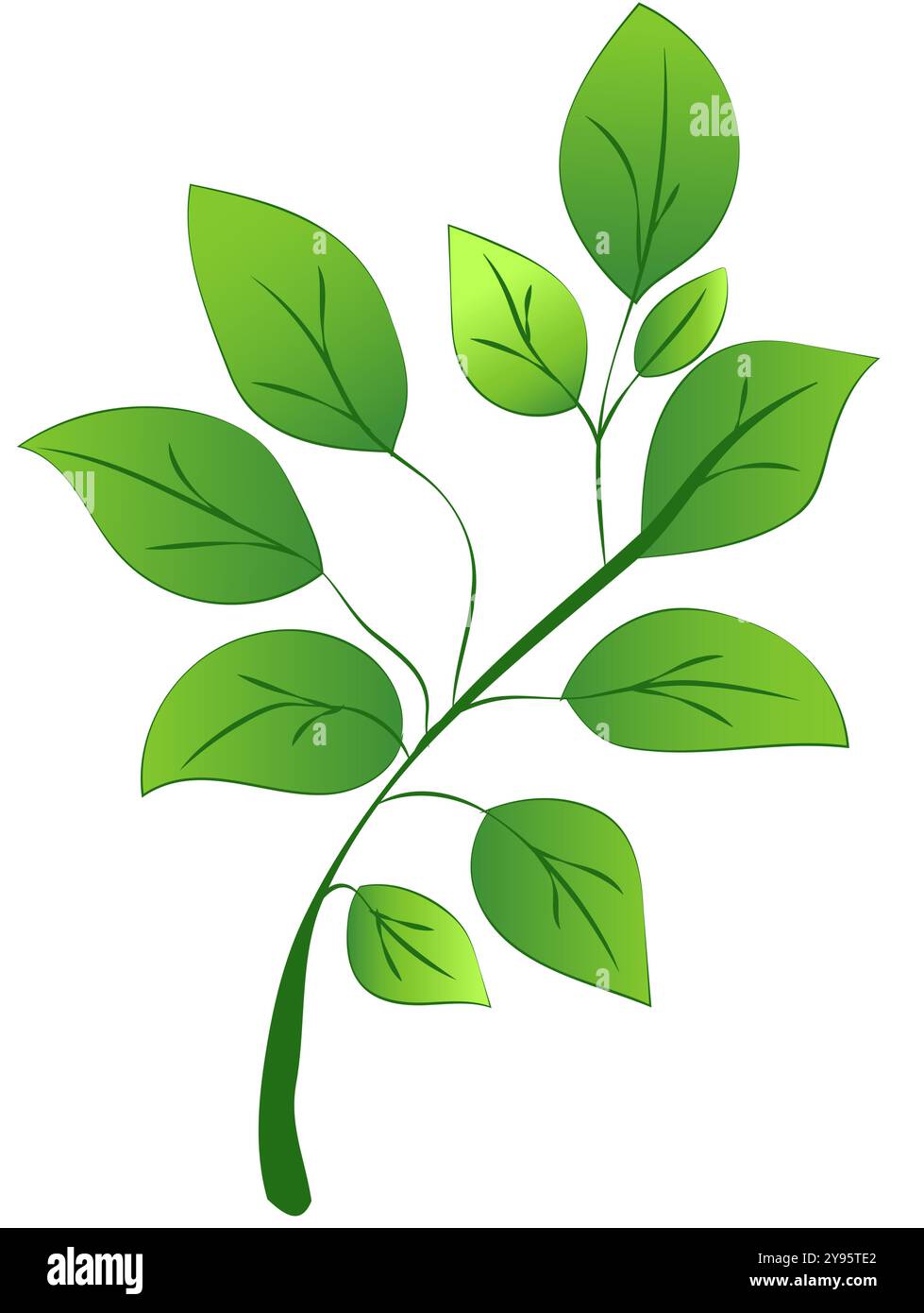 A green leafy branch with detailed leaves, presented in a vibrant ...