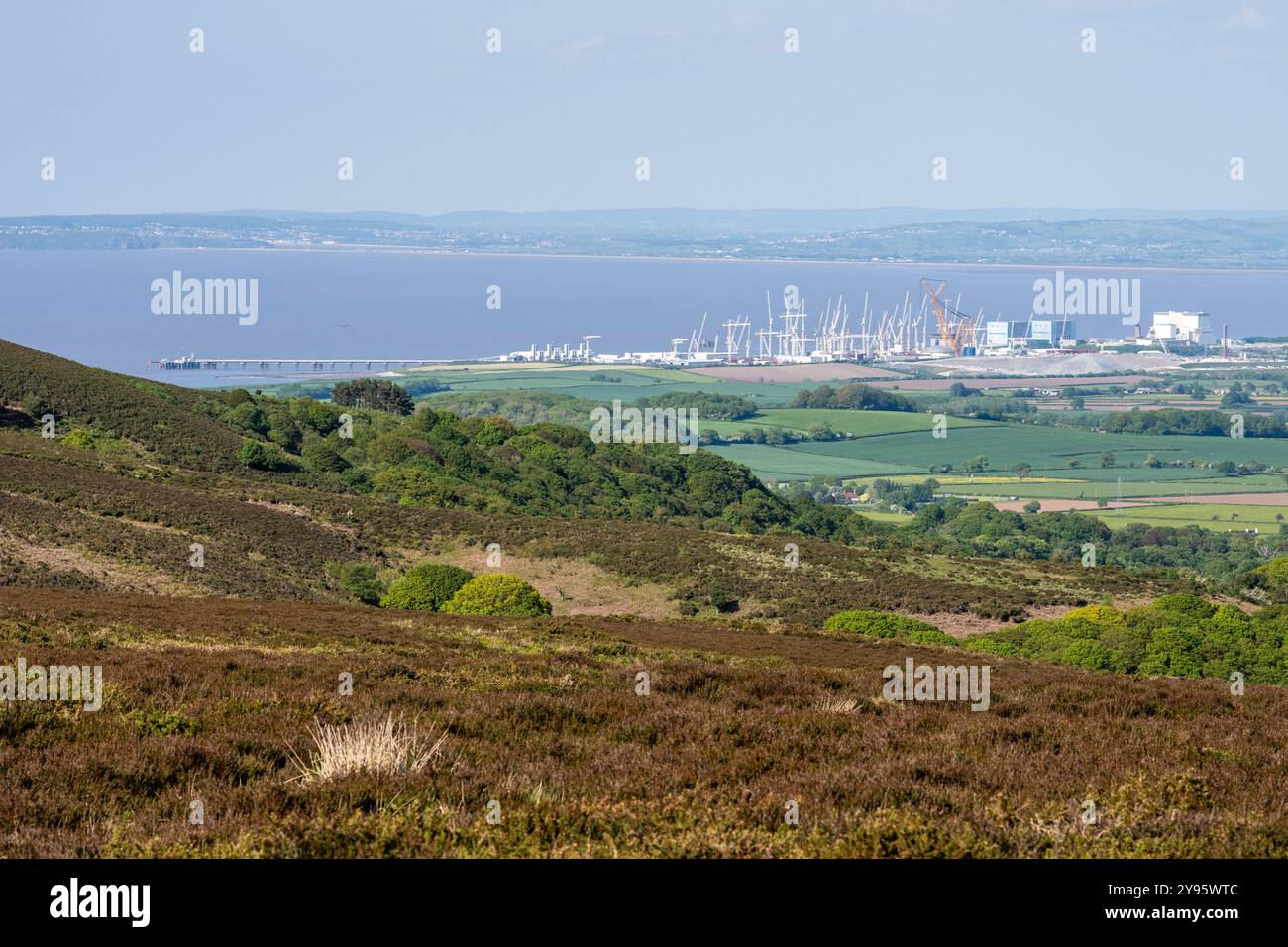 A cluster of tower cranes marks the Hinkley Point C nuclear power ...