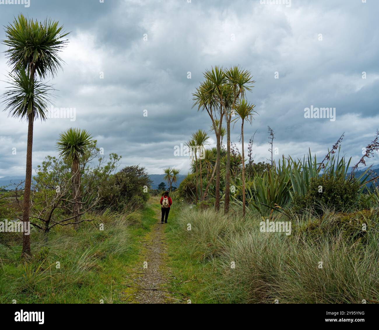 Karamea, west coast, south island, Aotearoa / New Zealand - September ...