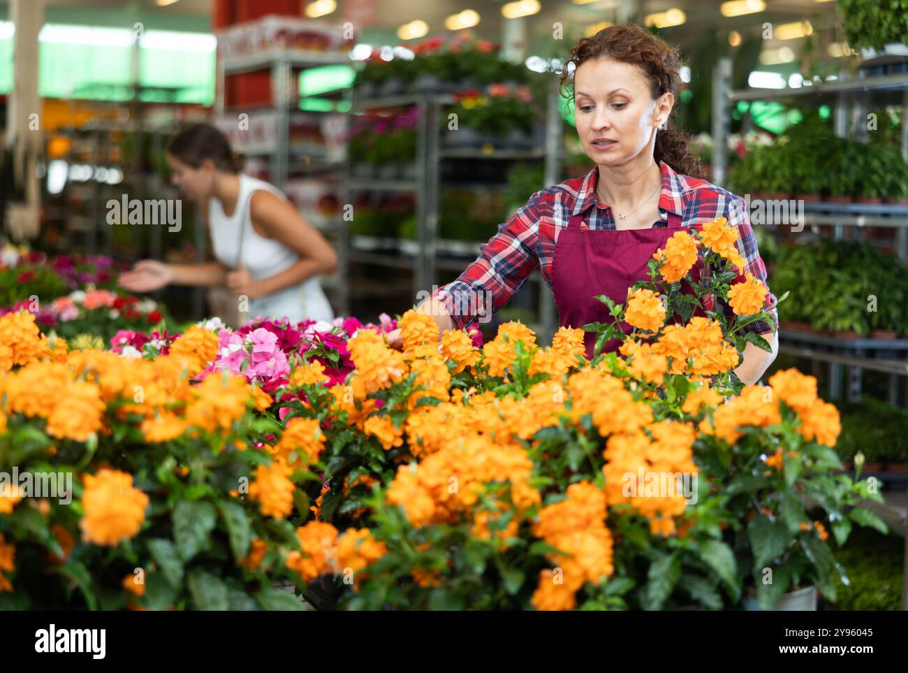 Female employee sorts out goods, carries out daily care with young ...