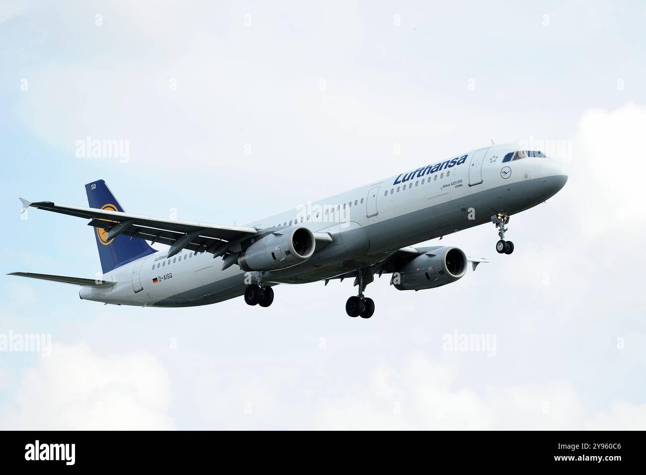 airplane, flight, passenger transport, business, population migration ...