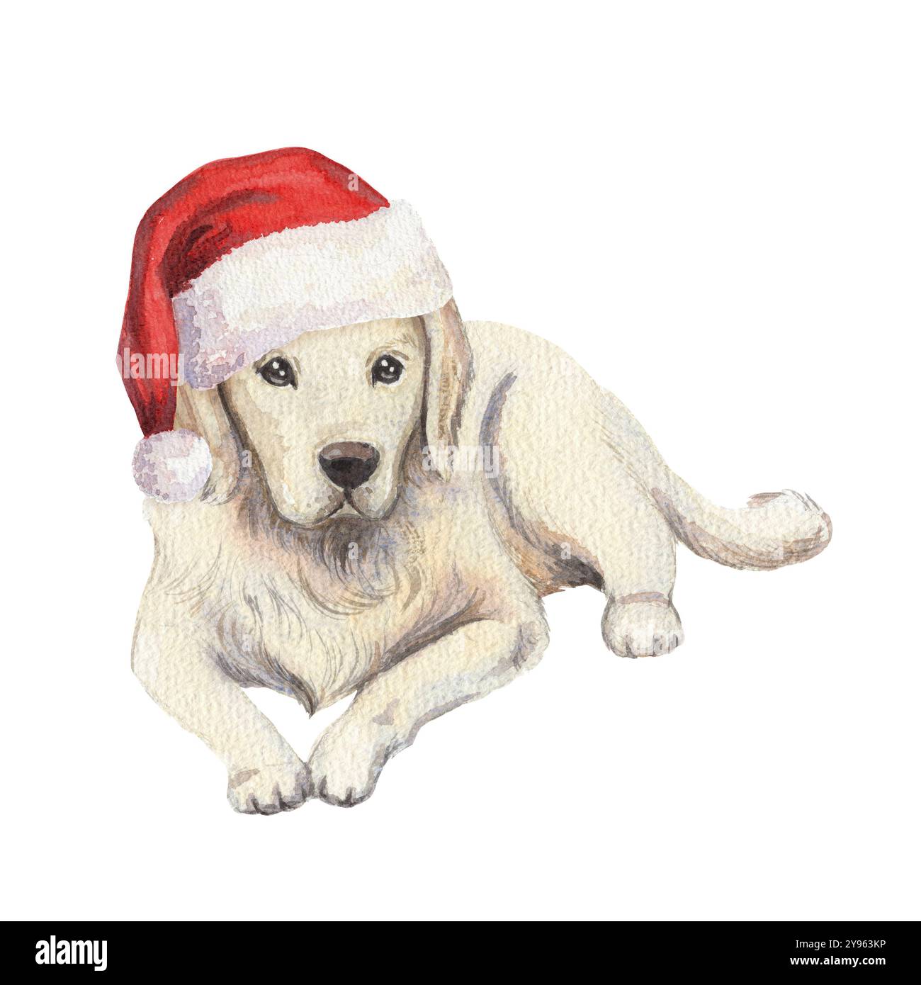 Winter holiday domestic atmosphere Cut Out Stock Images & Pictures - Alamy