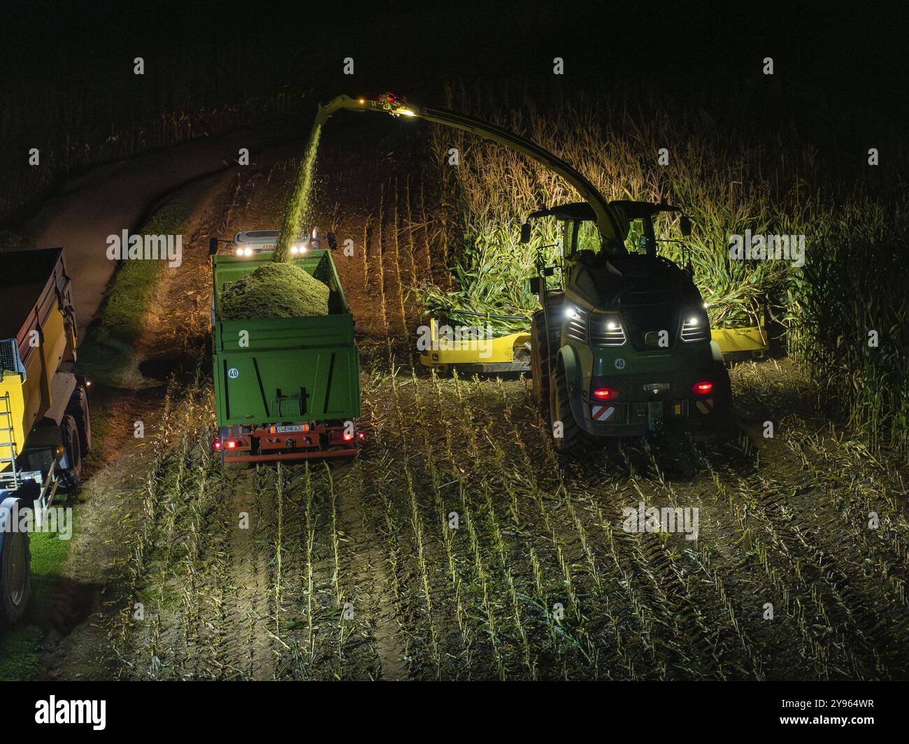 Tractors harvesting a field at night, trailers being filled, maize ...
