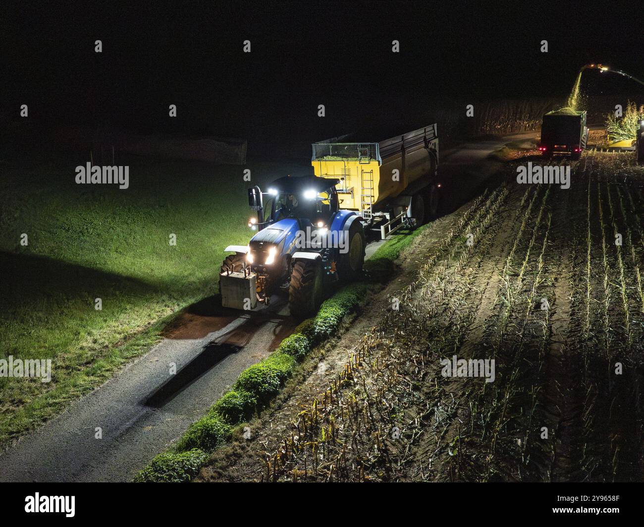 Tractor with trailer travelling along a rural road at night, maize ...