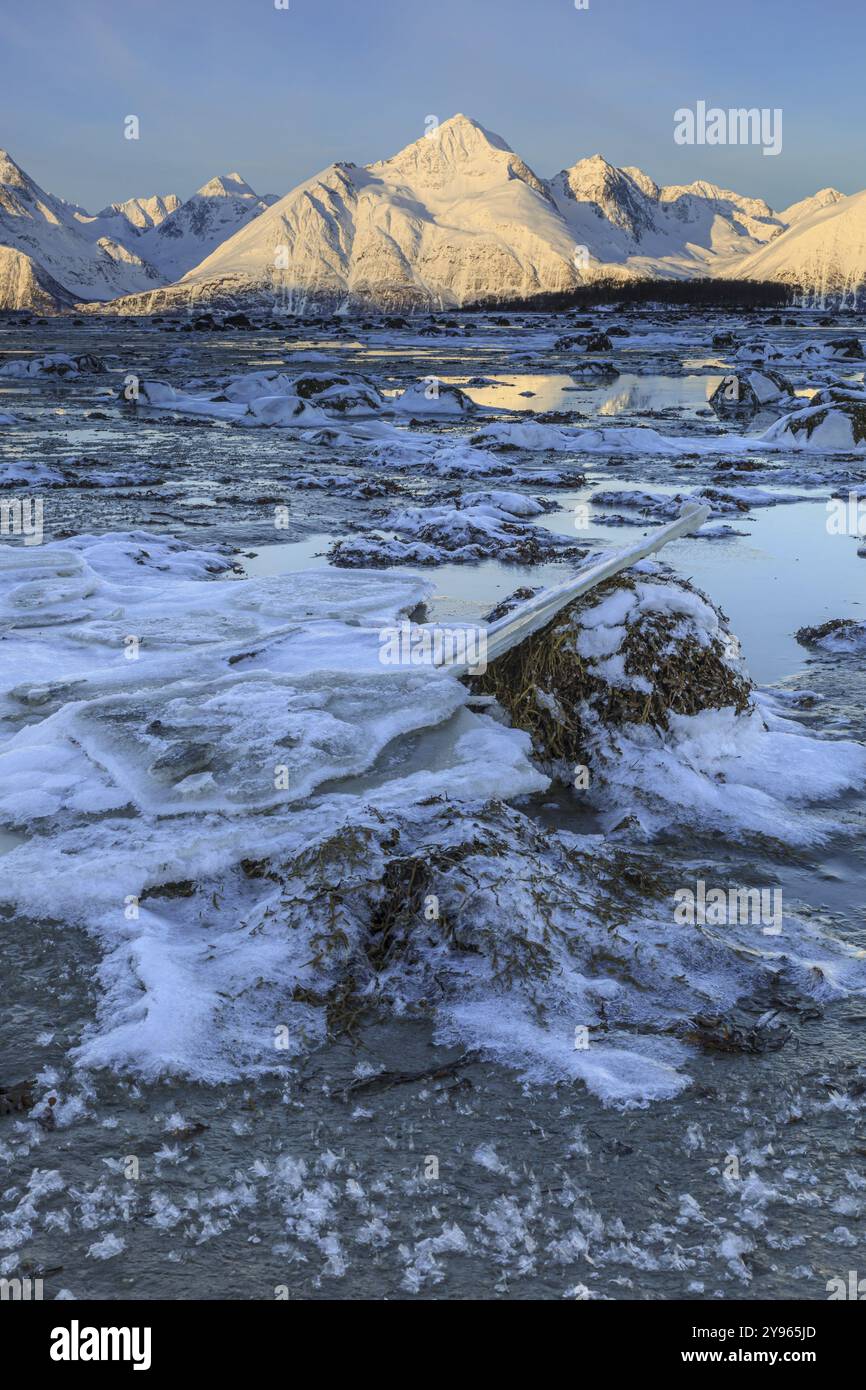 Morning light over snow-covered mountains, fjord, low tide, winter ...