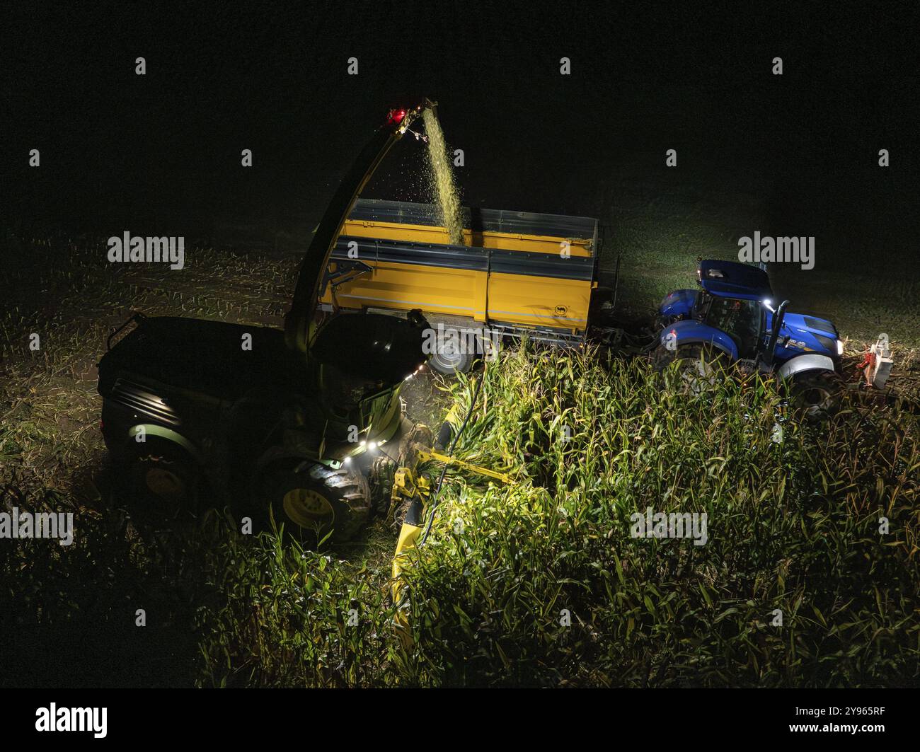 Tractors harvesting a maize field at night, crop being loaded, maize ...